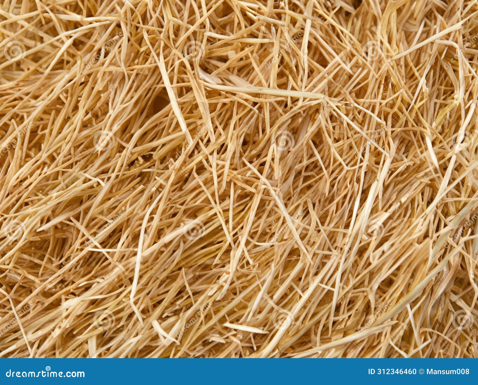 Straw on White Background, Abstract Background Stock Photo - Image of ...