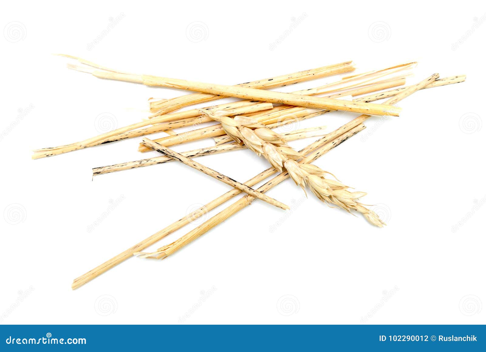 Straw on white stock photo. Image of autumn, isolated - 102290012