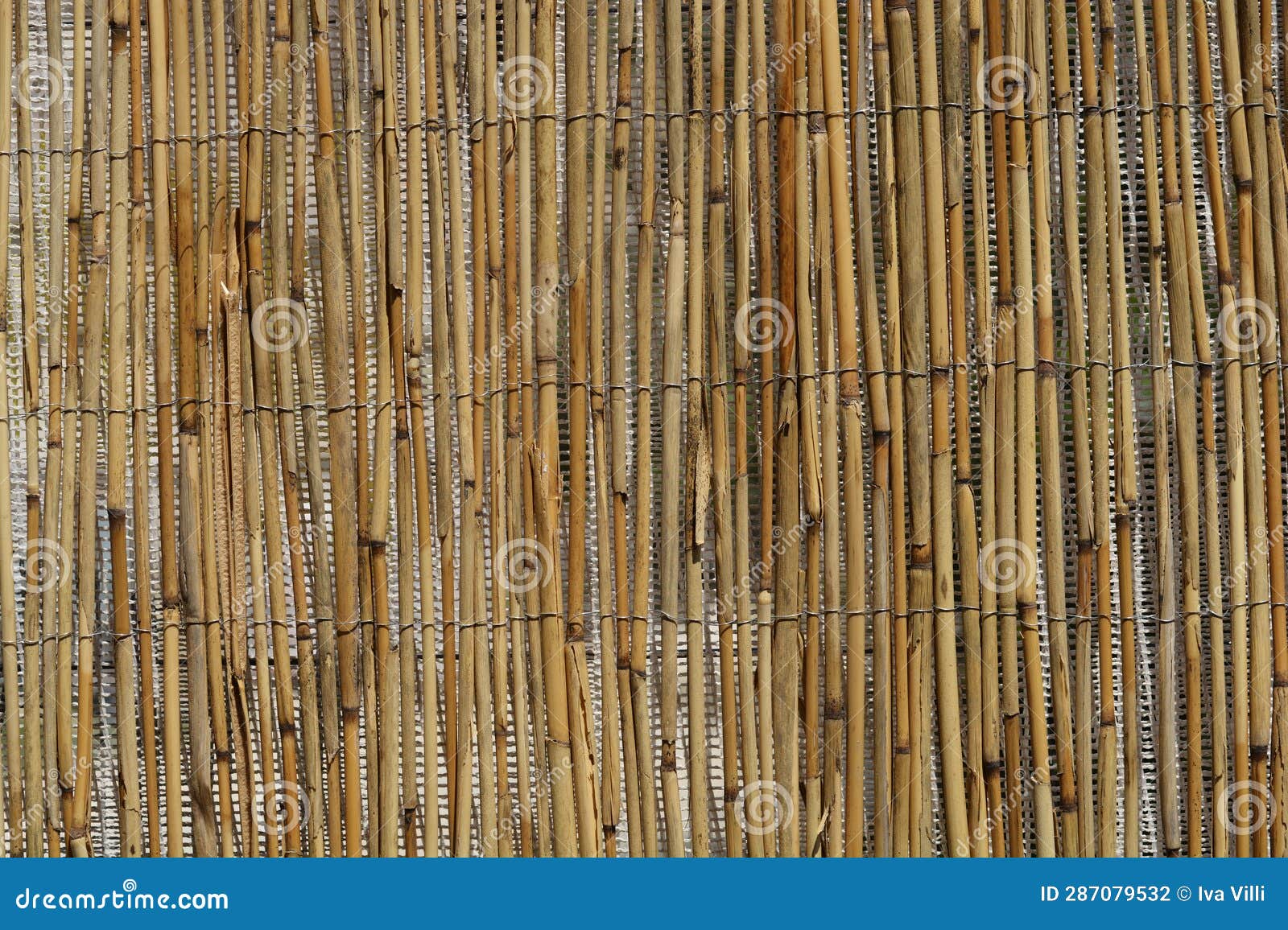 Straw window shades stock photo. Image of covering, light - 287079532