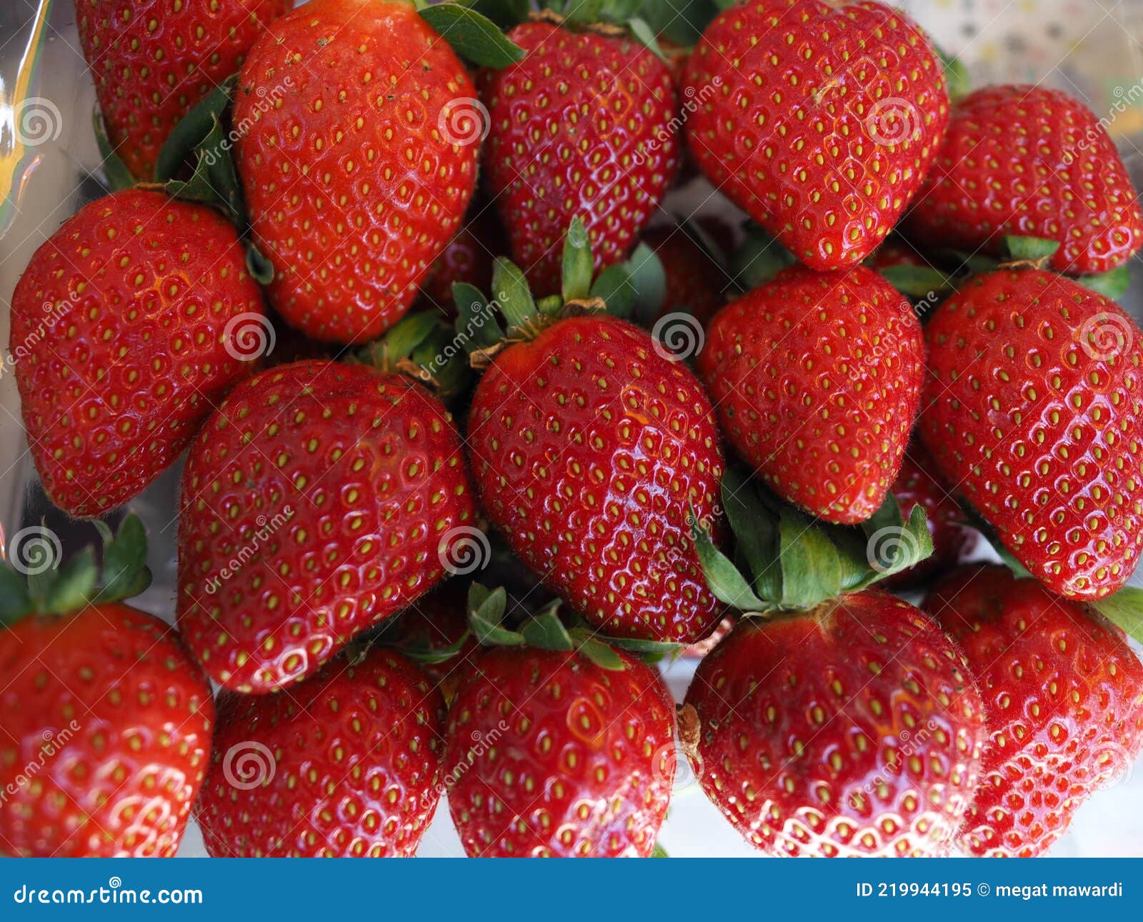 Strawberi Cameron Highland stock image. Image of strawberisegar - 219944195