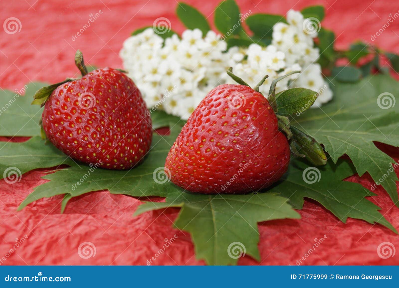 Strawberrie and Spring Flowers Stock Image - Image of seasonal, color ...