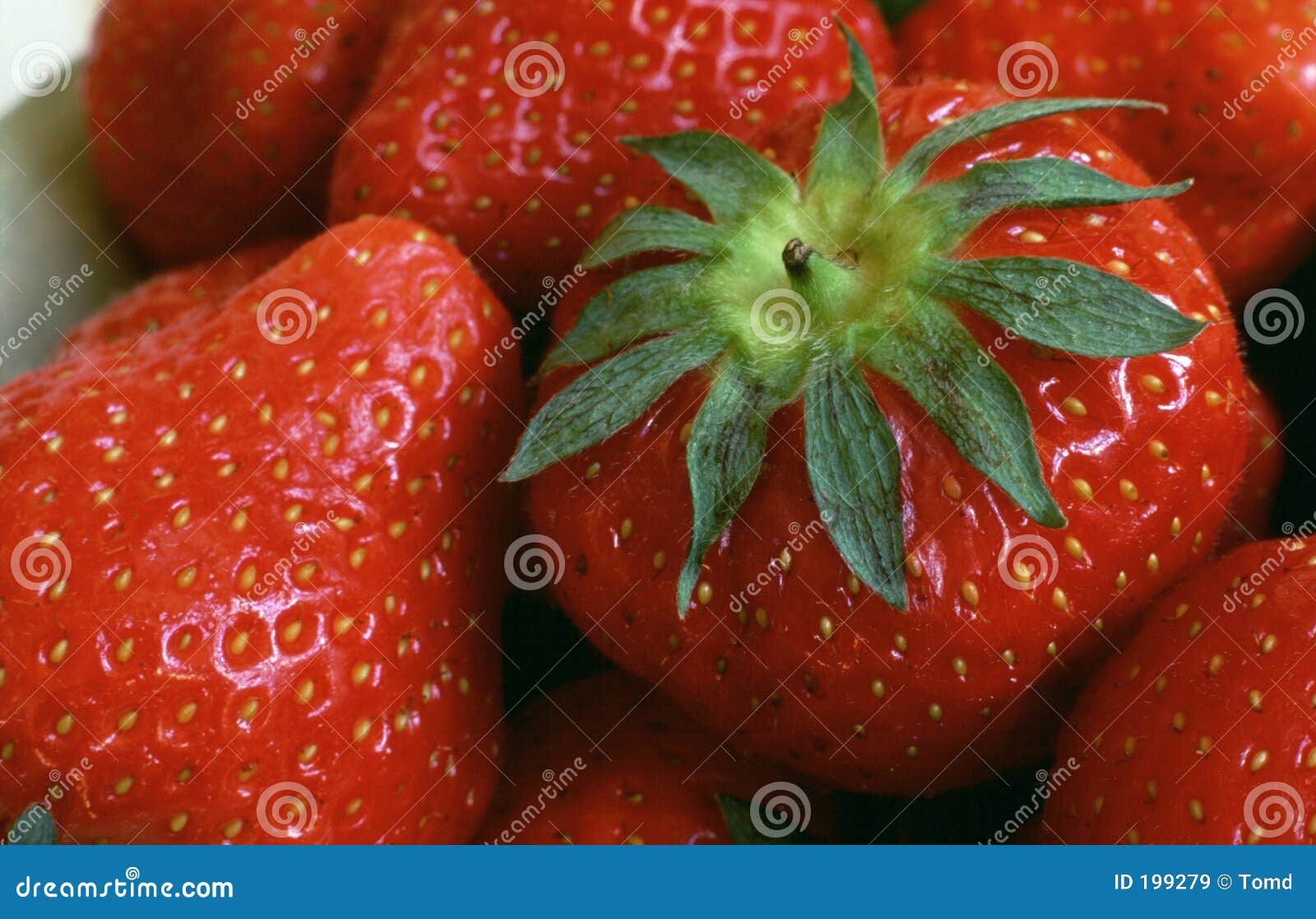 Strawberries stock image. Image of fruit, food, summer - 199279
