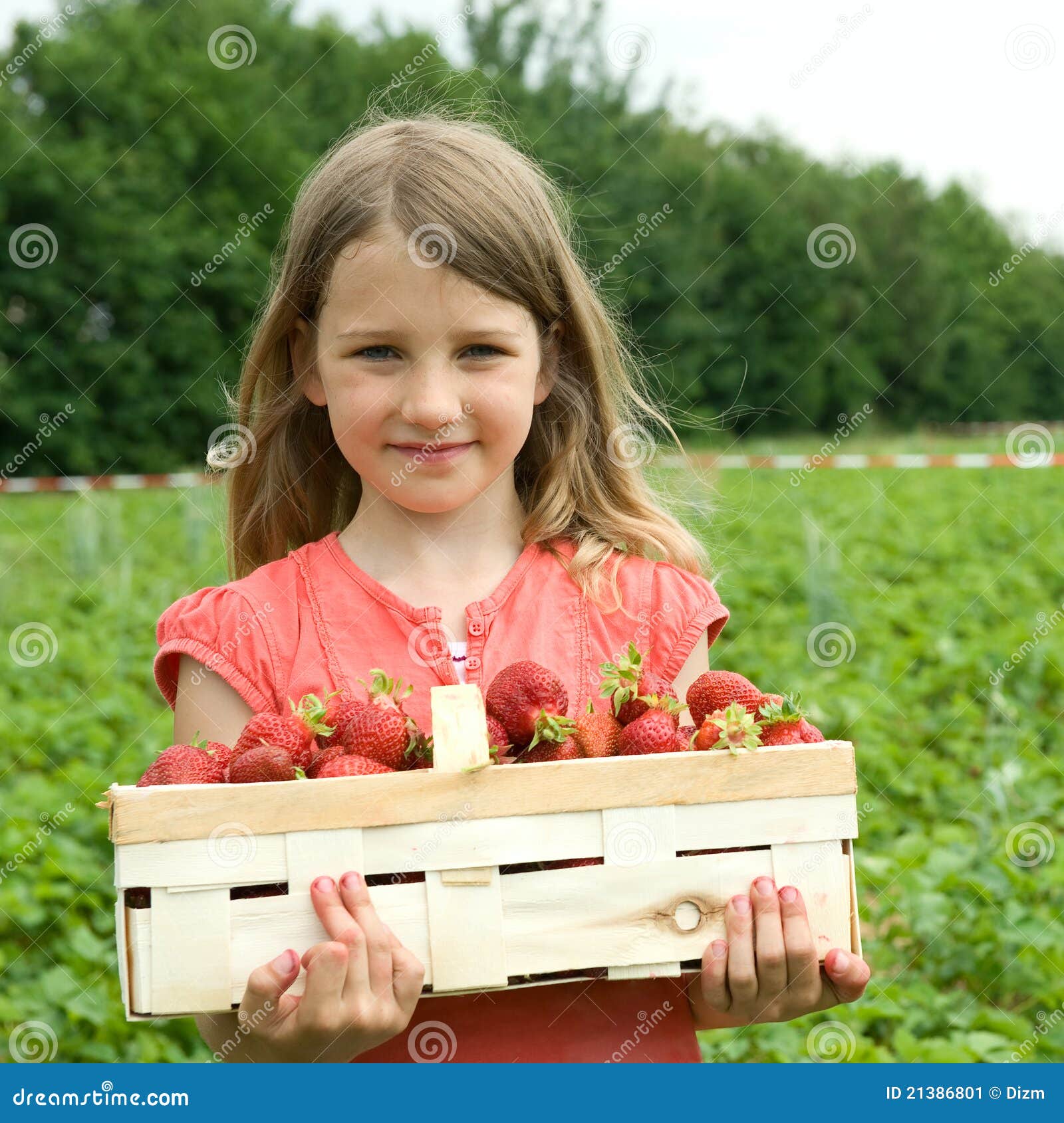 Strawberries stock image. Image of happiness, human, healthy - 21386801