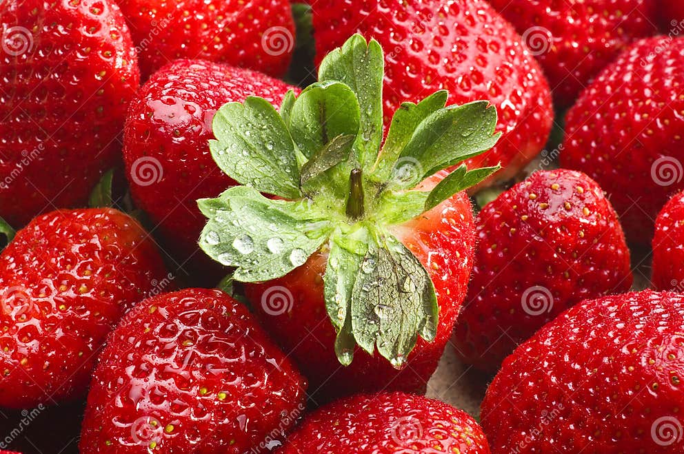 Strawberries stock image. Image of italian, exotic, market - 24299973