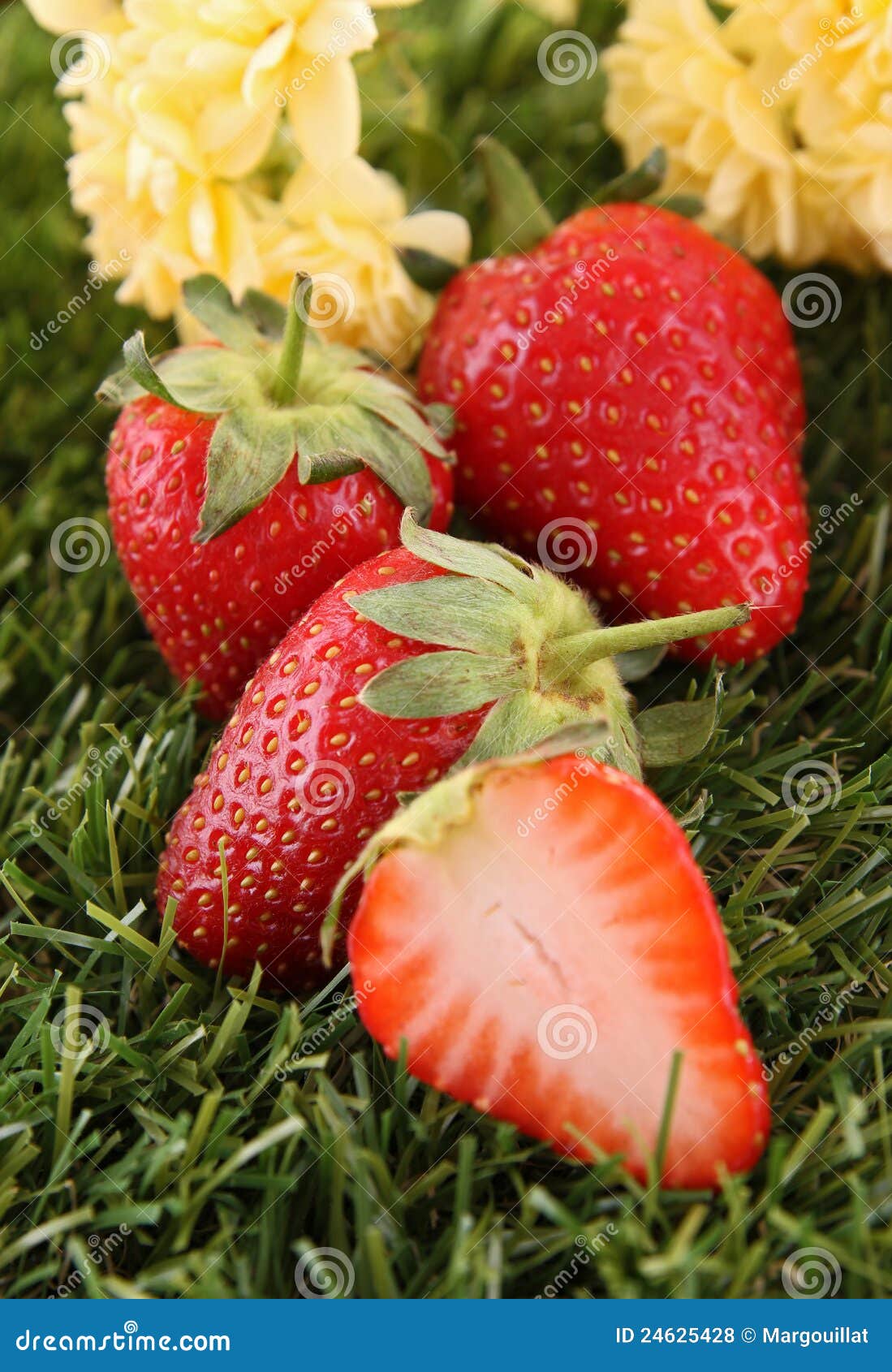 Strawberries stock photo. Image of dessert, healthy, fruit - 24625428