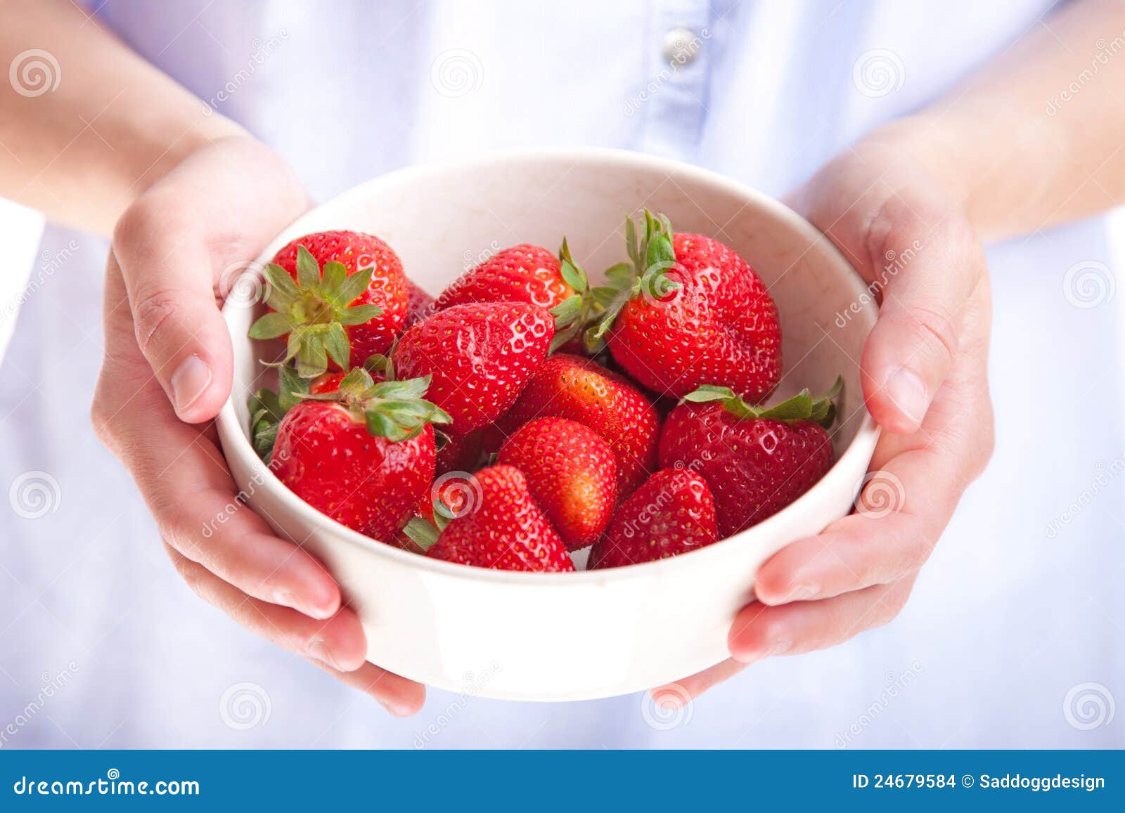 Strawberries stock photo. Image of showing, summer, harvest - 24679584