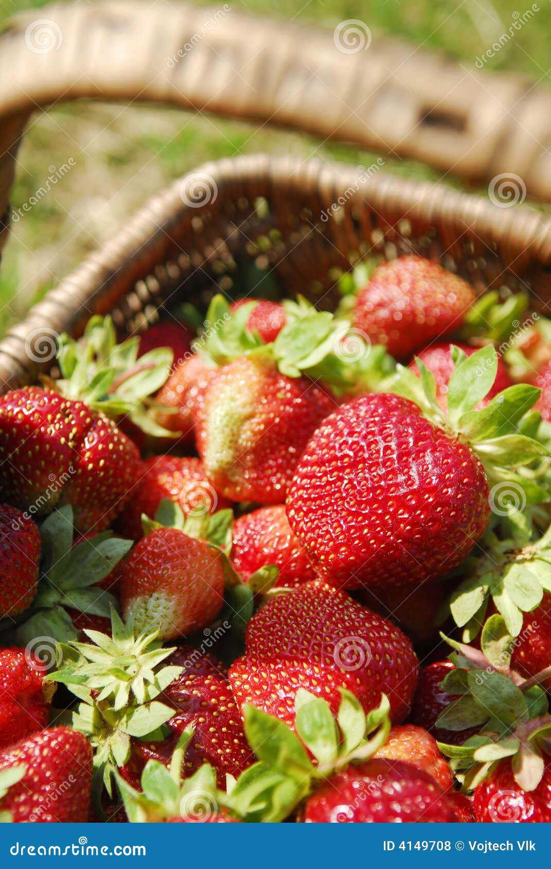 Strawberries stock photo. Image of strawberries, strawberry - 4149708