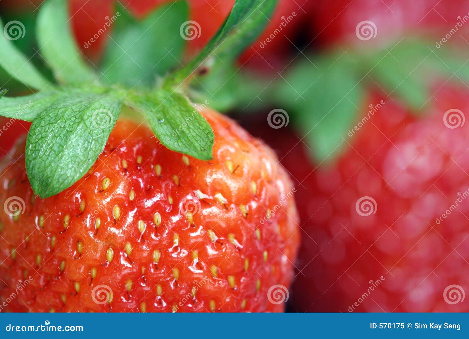 Strawberries. stock image. Image of dessert, details, ripe - 570175