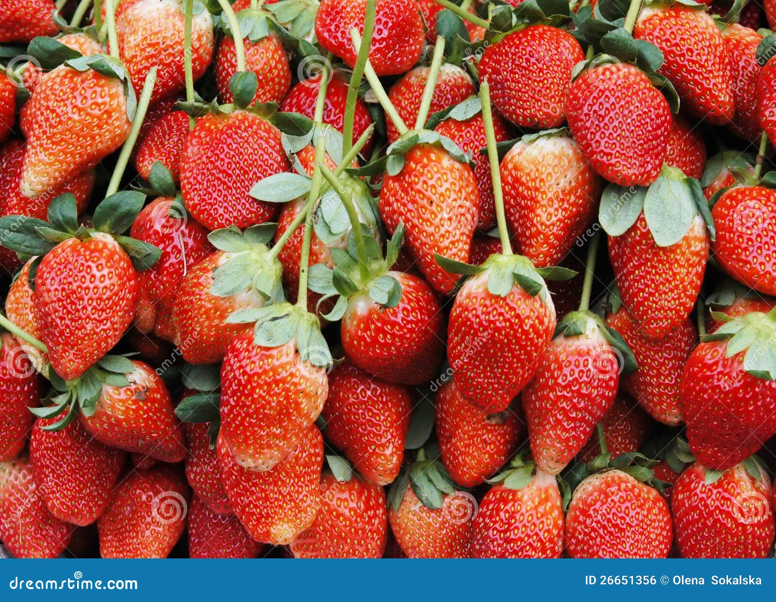 Strawberries Background Royalty-Free Stock Image | CartoonDealer.com ...