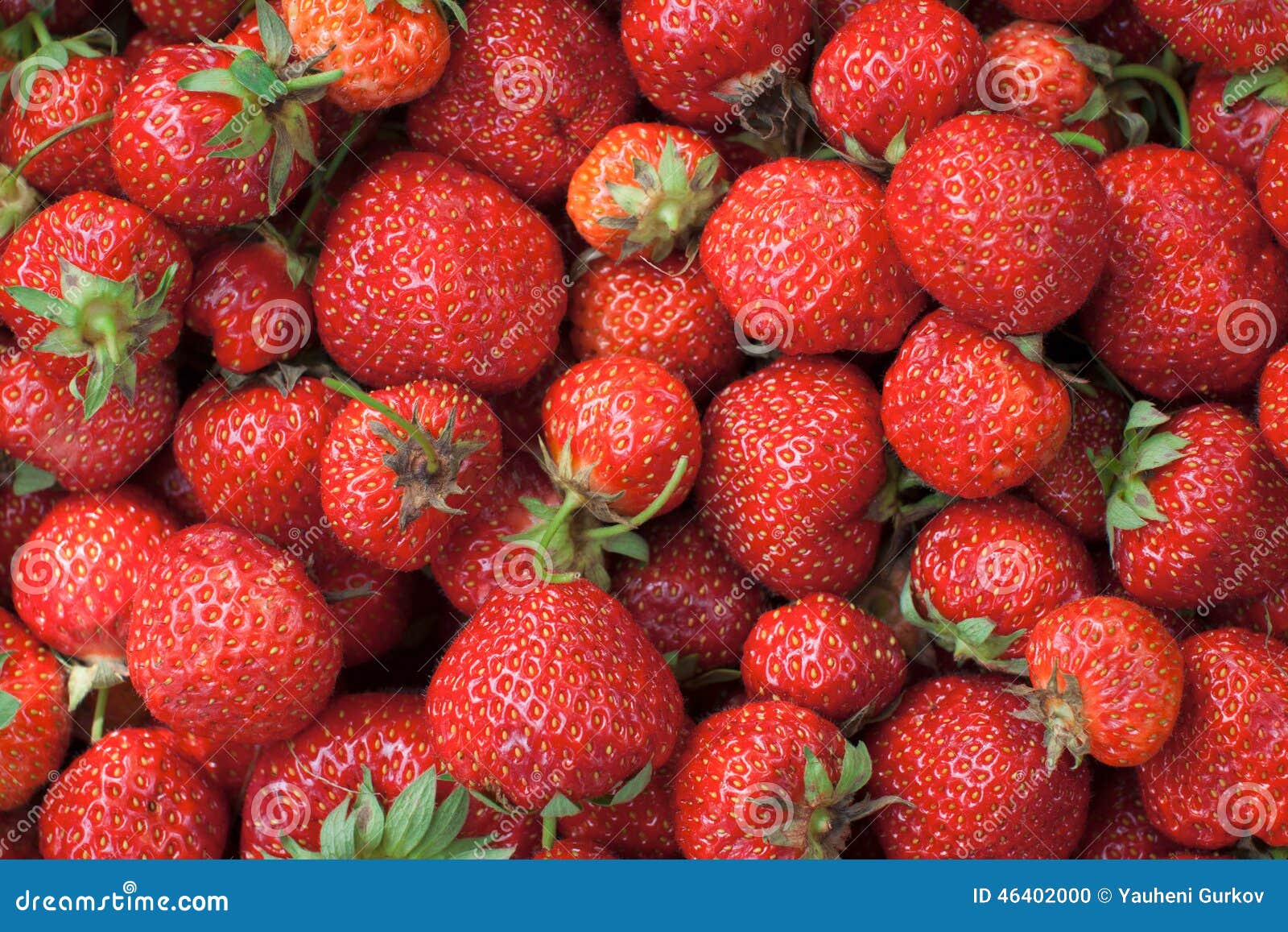 Strawberries background stock photo. Image of shiny, close - 46402000