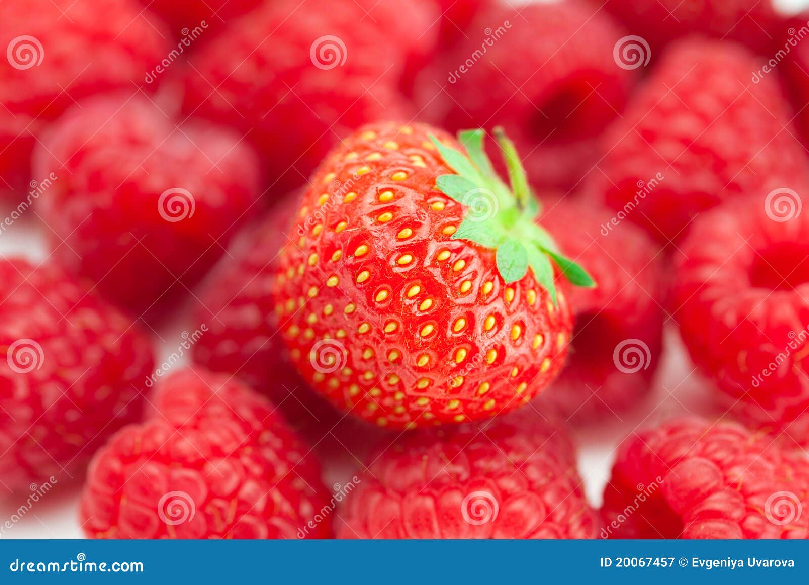 Strawberries on Background Raspberry Stock Image - Image of green ...
