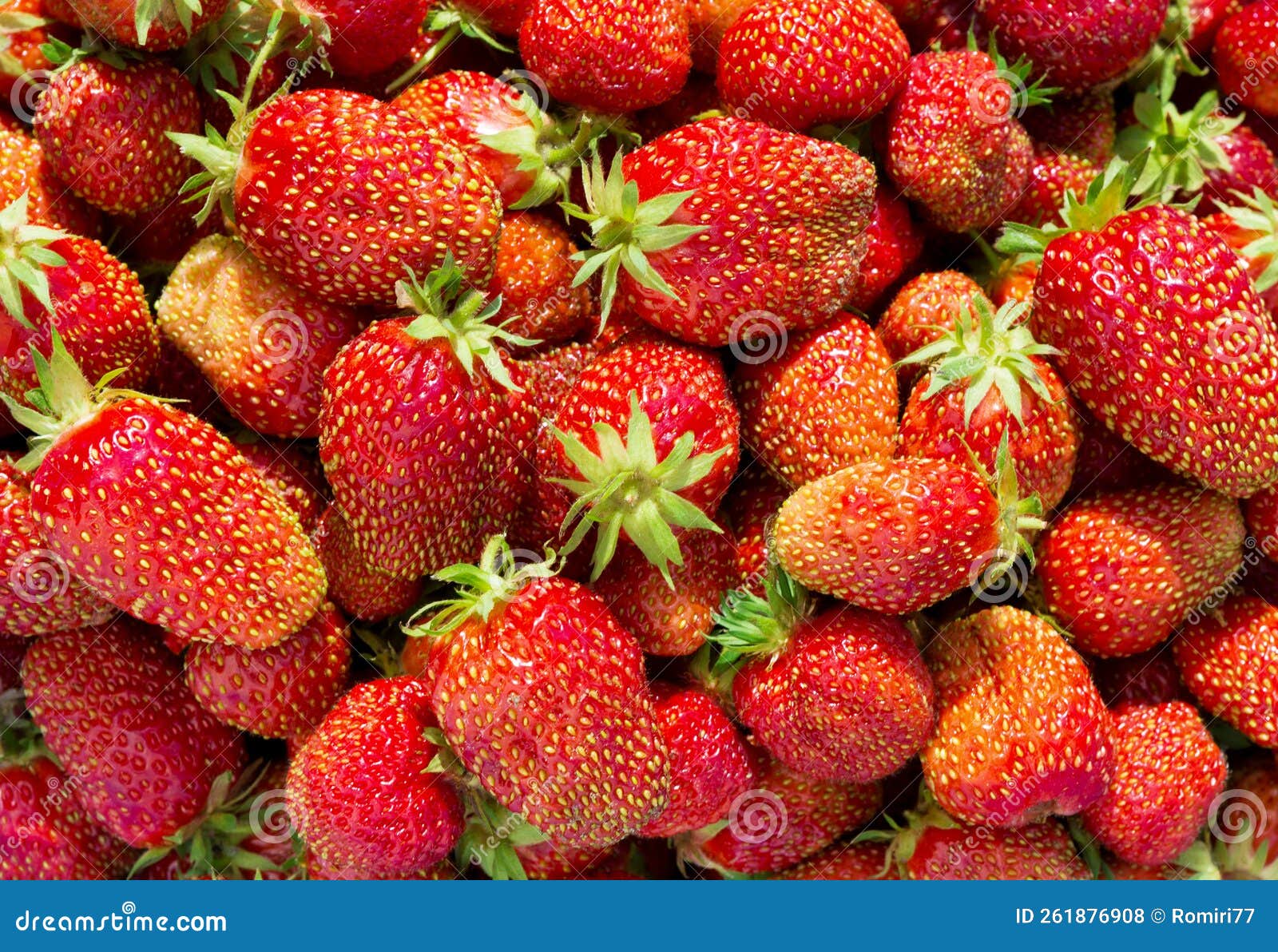 Strawberries Background Stock Photography | CartoonDealer.com #261876908