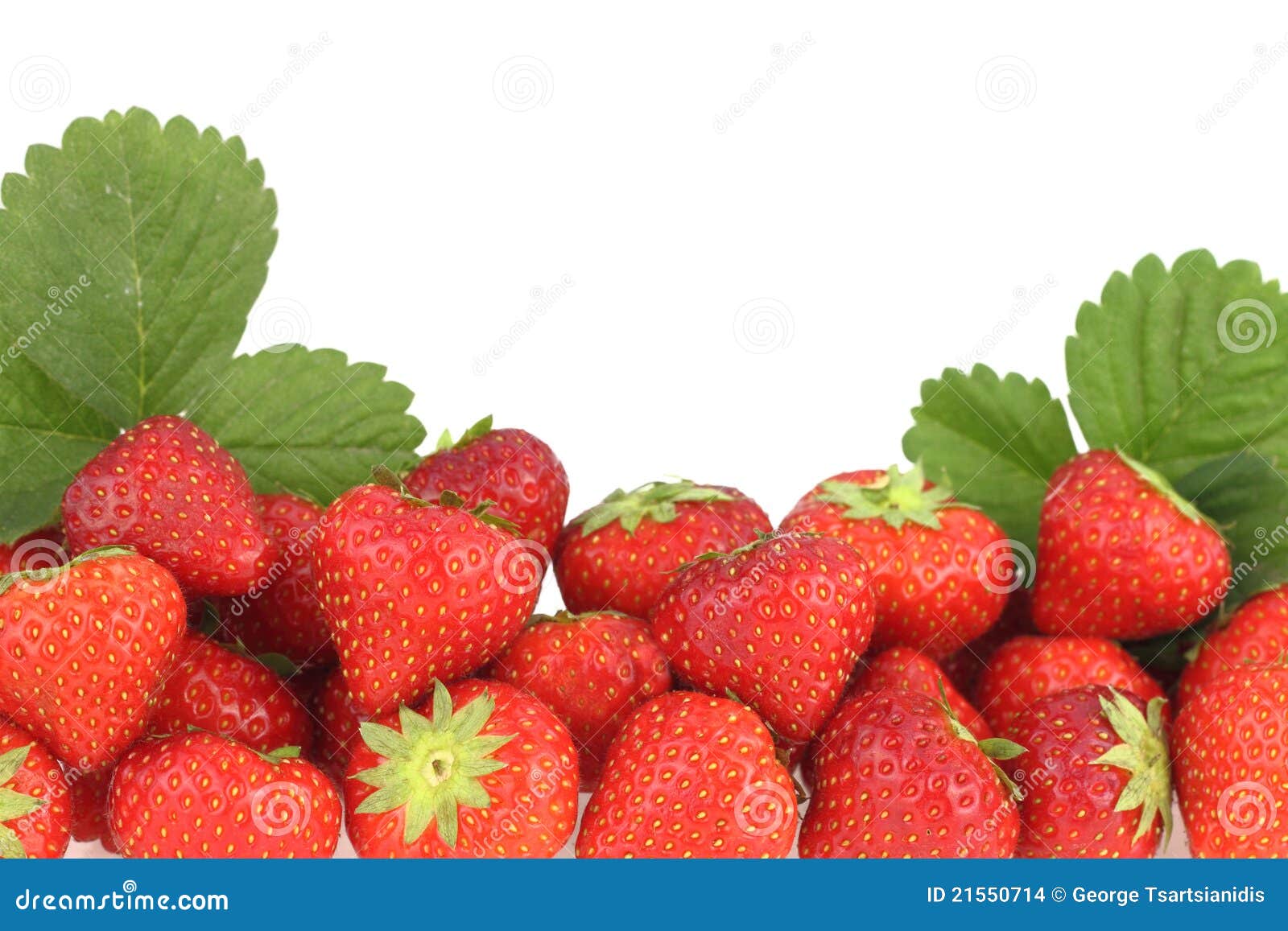 Strawberries banner stock photo. Image of dieting, leaf - 21550714