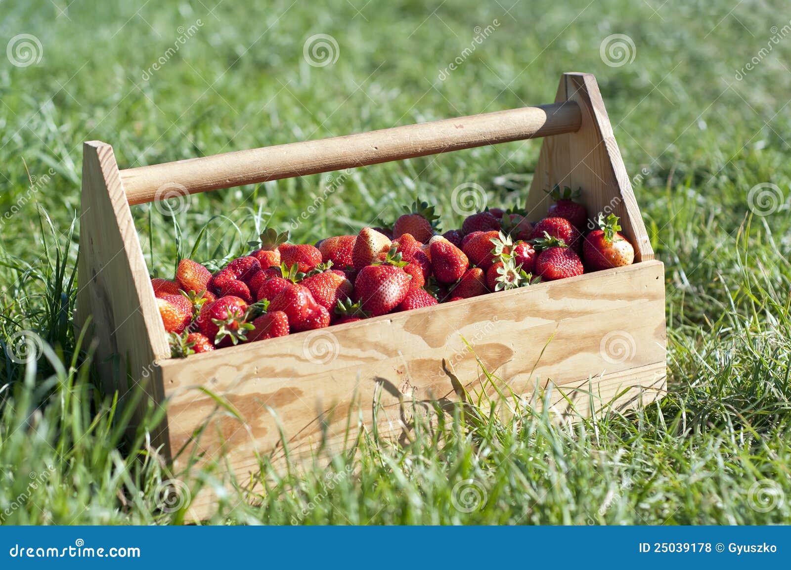 Strawberries in the basket stock photo. Image of food - 25039178