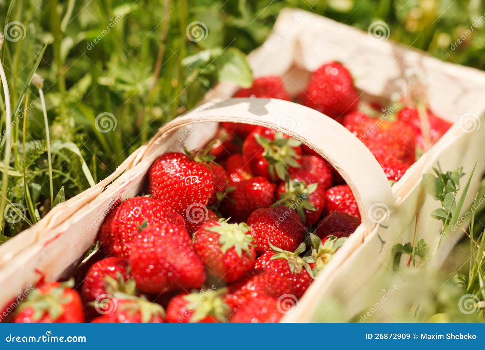 Strawberries in a basket stock image. Image of freshness - 26872909
