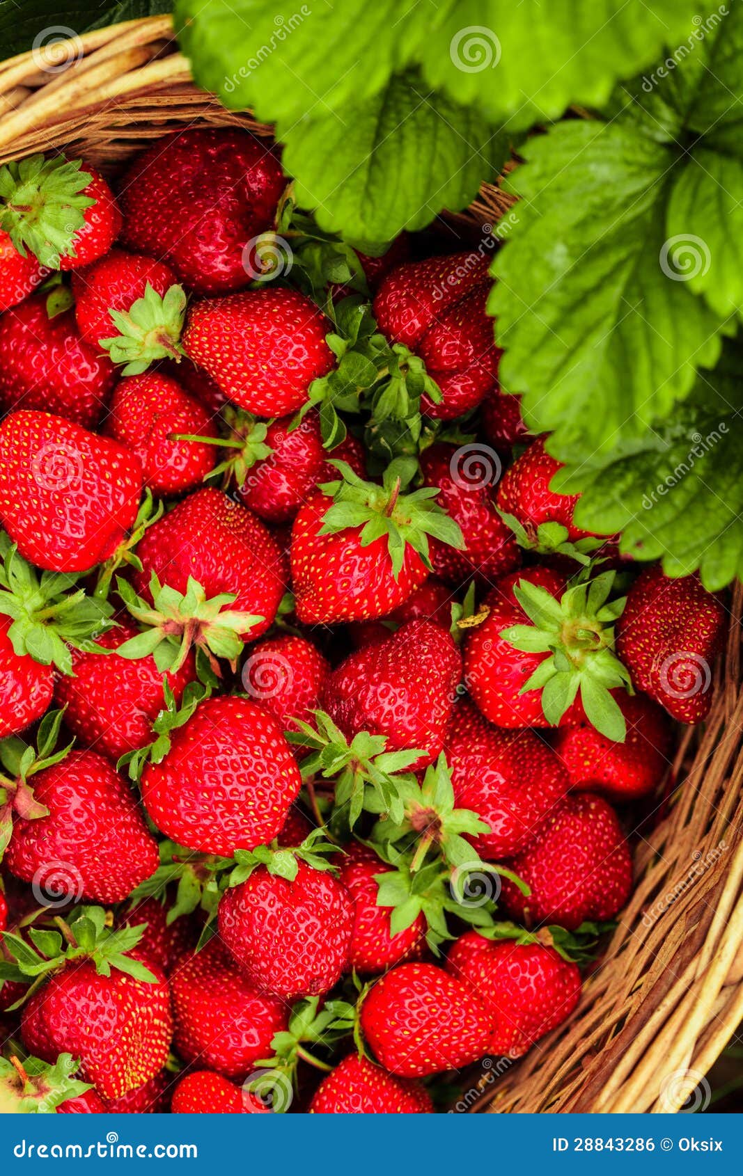 Strawberries in a basket stock photo. Image of delicious - 28843286