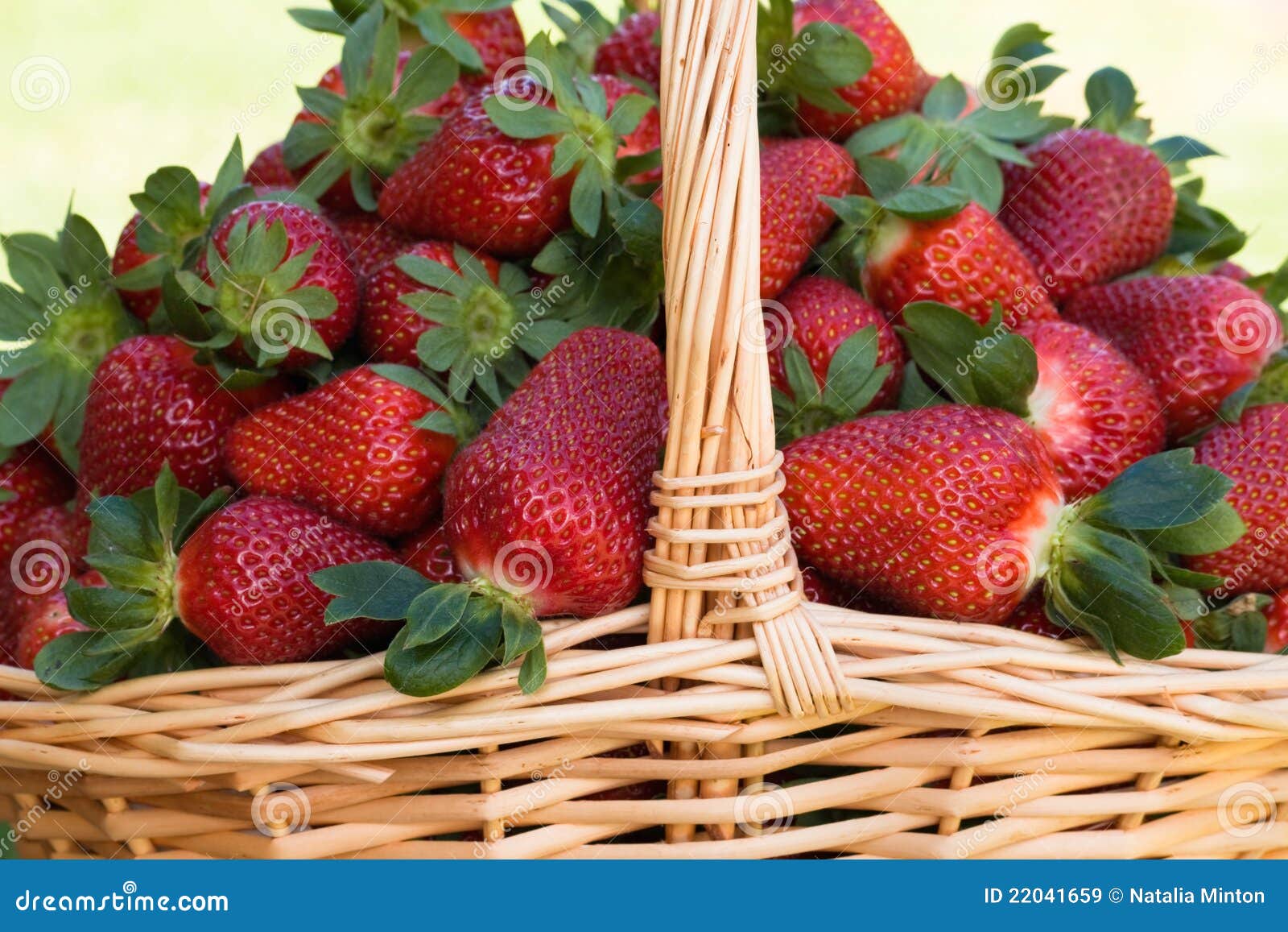 Strawberries in the Basket Closeup Stock Image - Image of nature, fruit ...