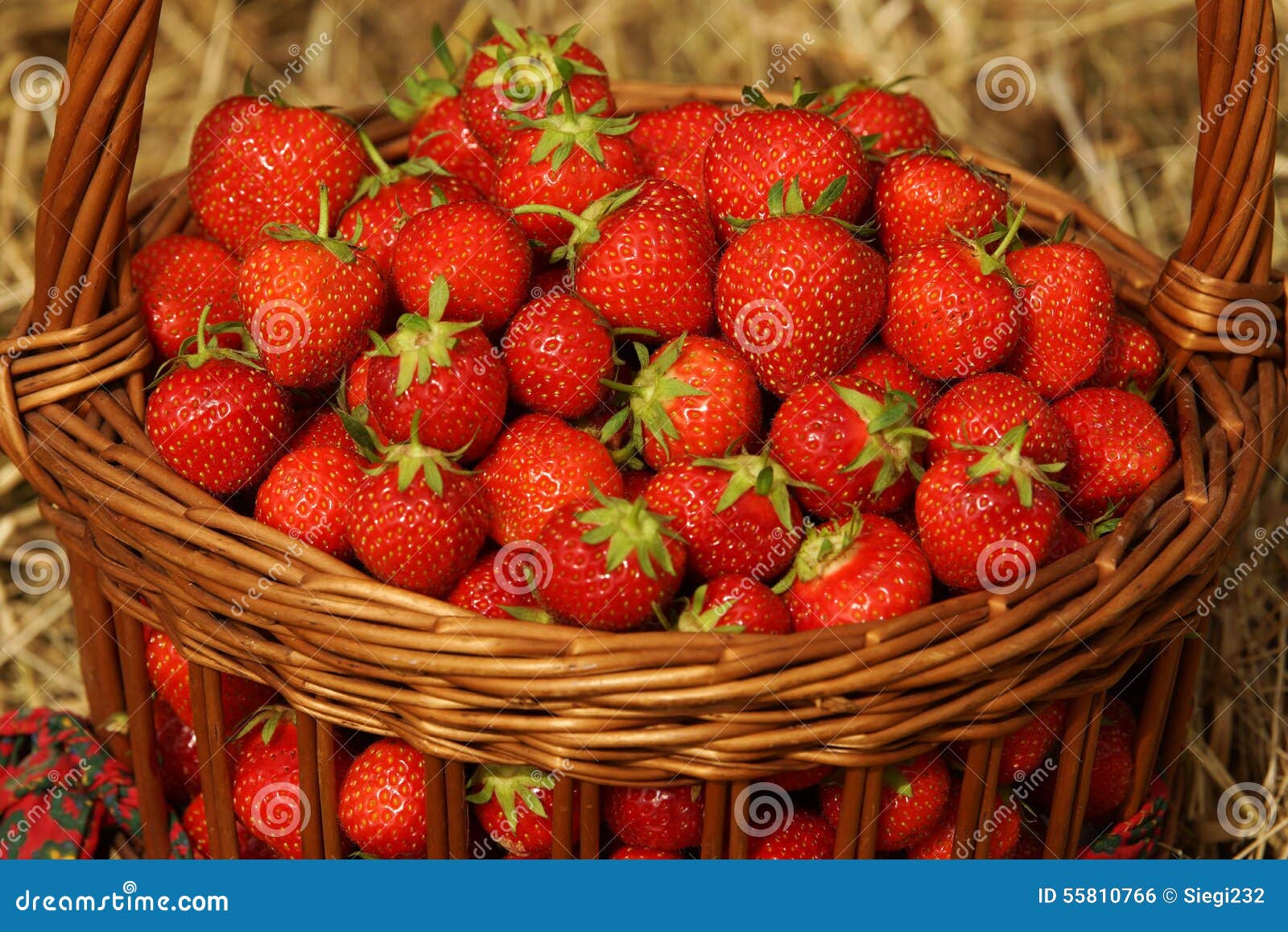 Strawberries in a basket stock photo. Image of pulp, food - 55810766