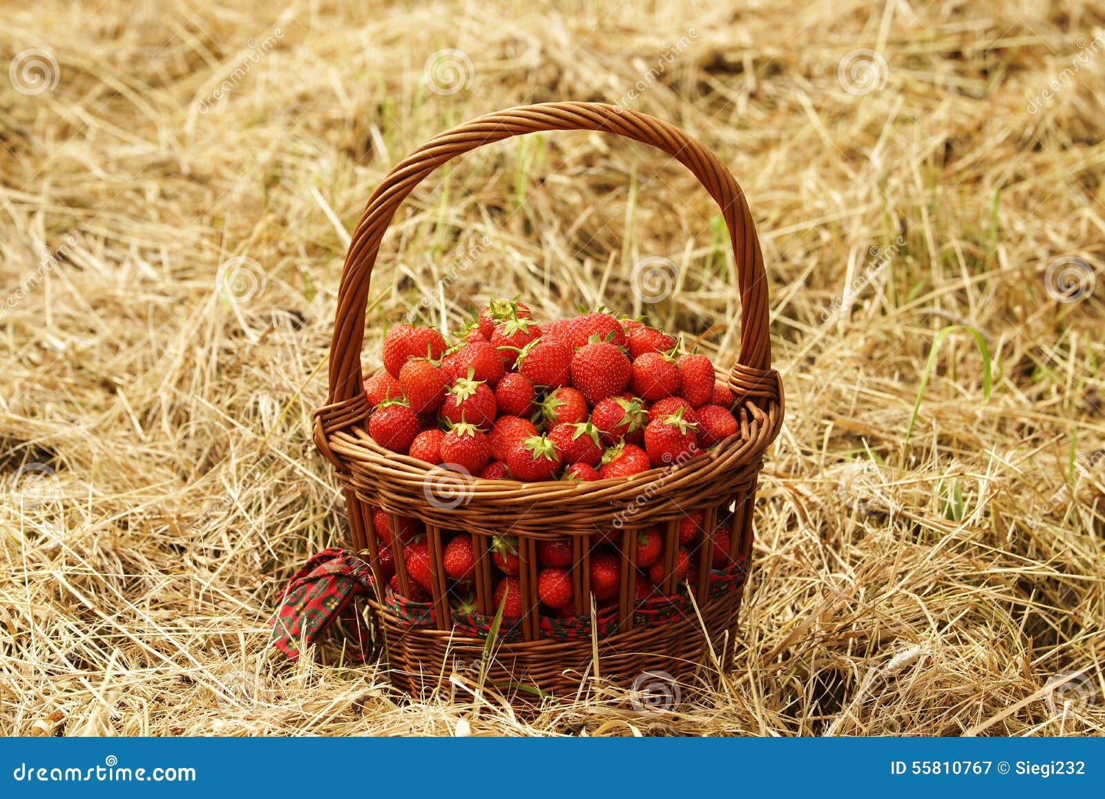 Strawberries in a basket stock image. Image of berries - 55810767