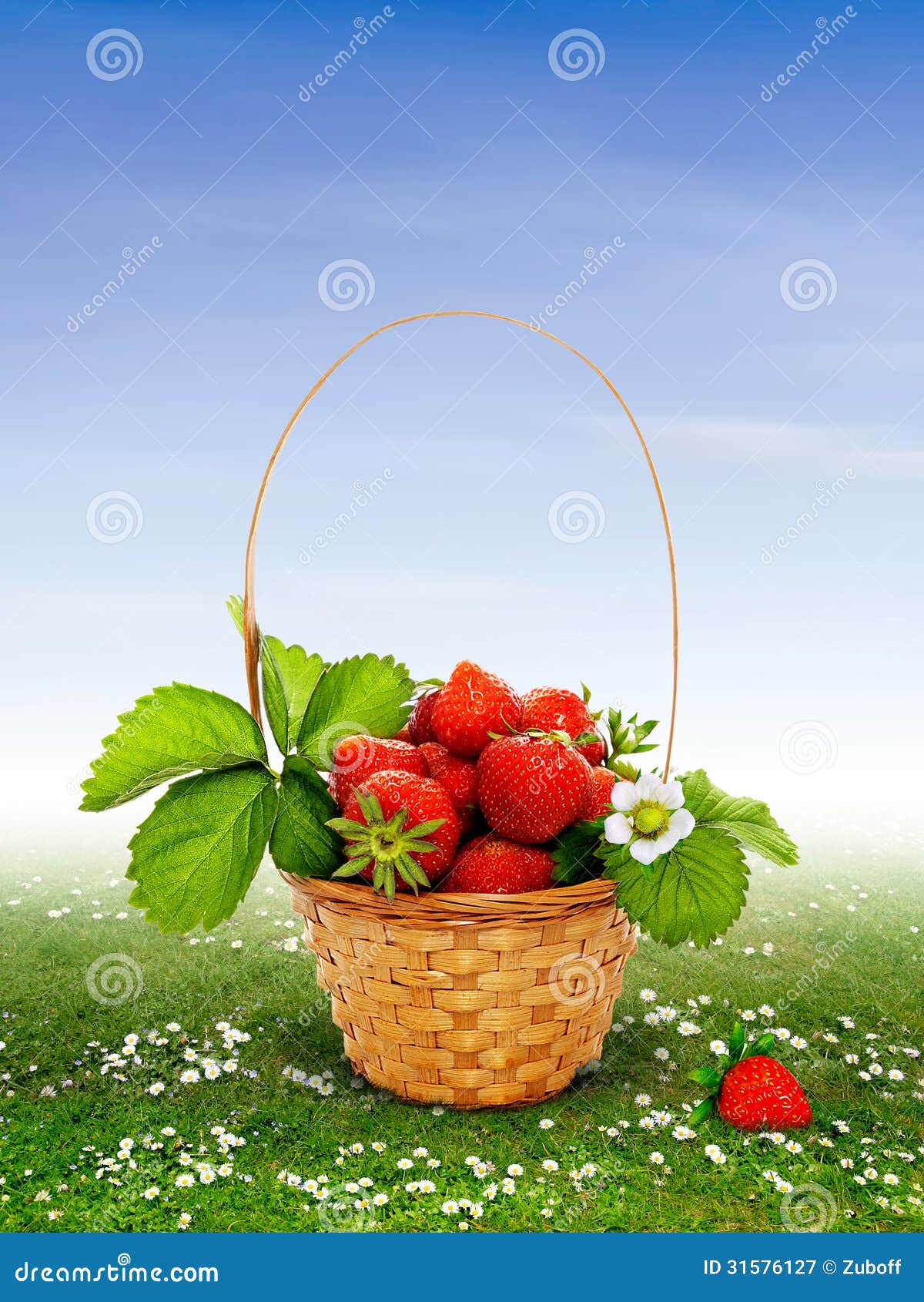 Strawberries in the basket stock image. Image of organic - 31576127