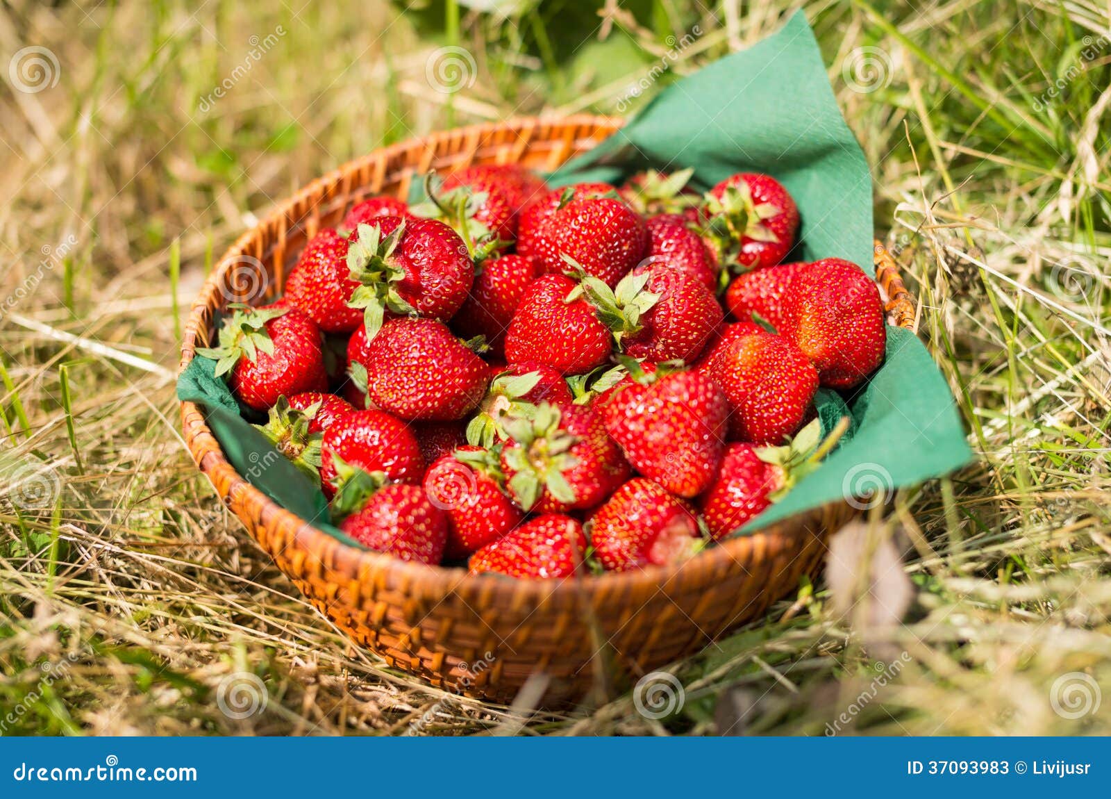 Strawberries in basket stock image. Image of leaf, agriculture - 37093983