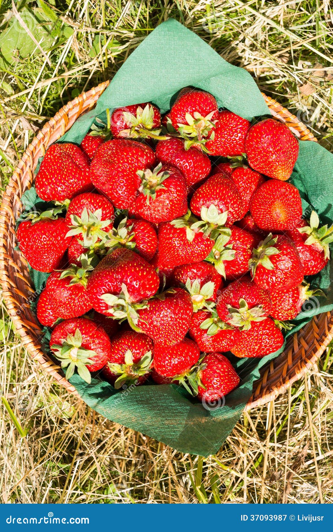 Strawberries in basket stock image. Image of berry, harvest - 37093987