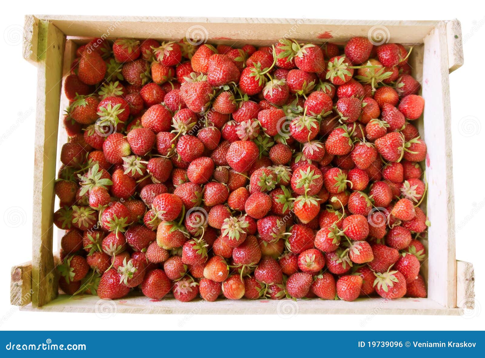 Strawberries in box stock photo. Image of delicious, fruit - 19739096