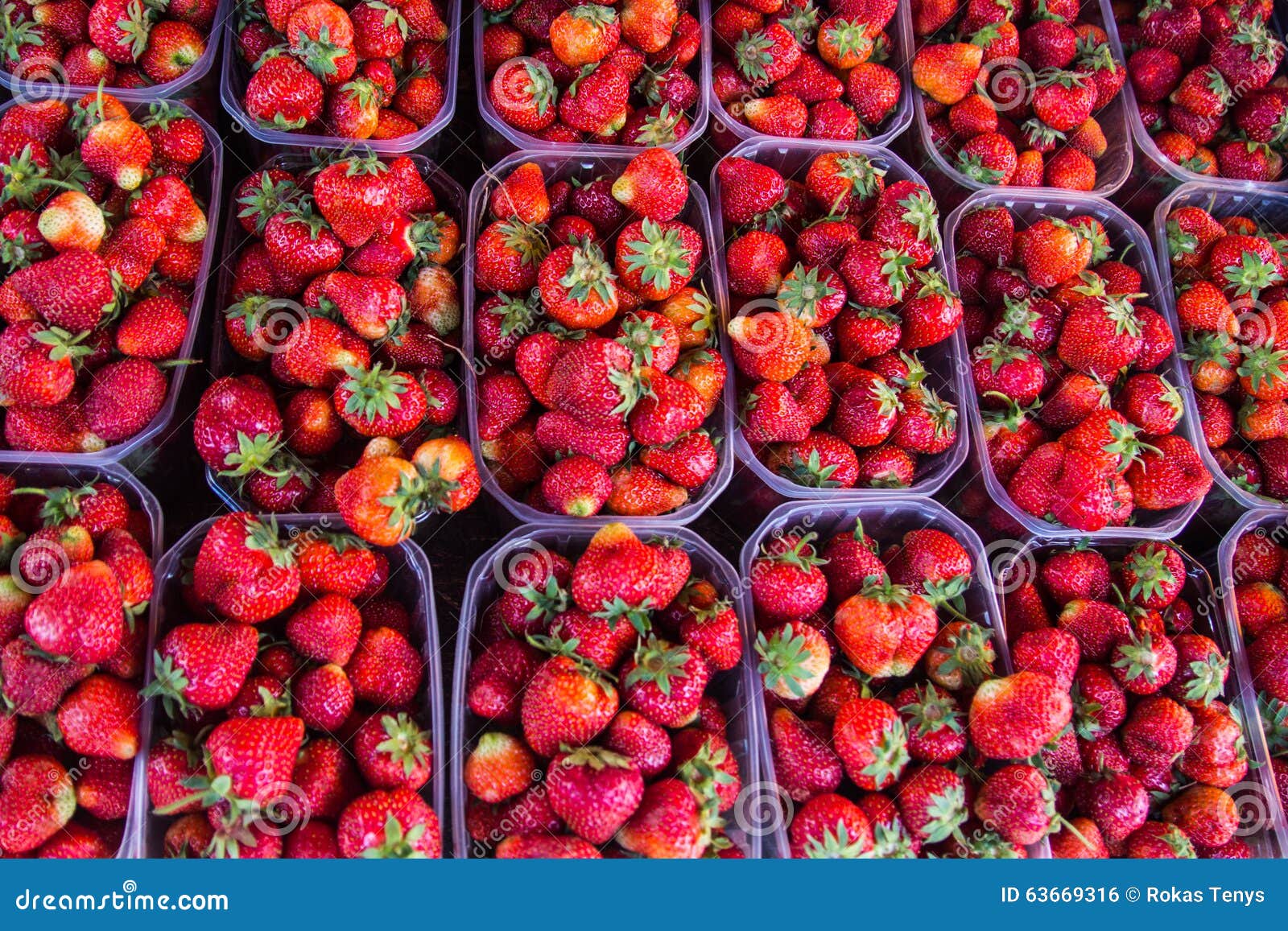 Strawberries in the boxes stock photo. Image of element - 63669316
