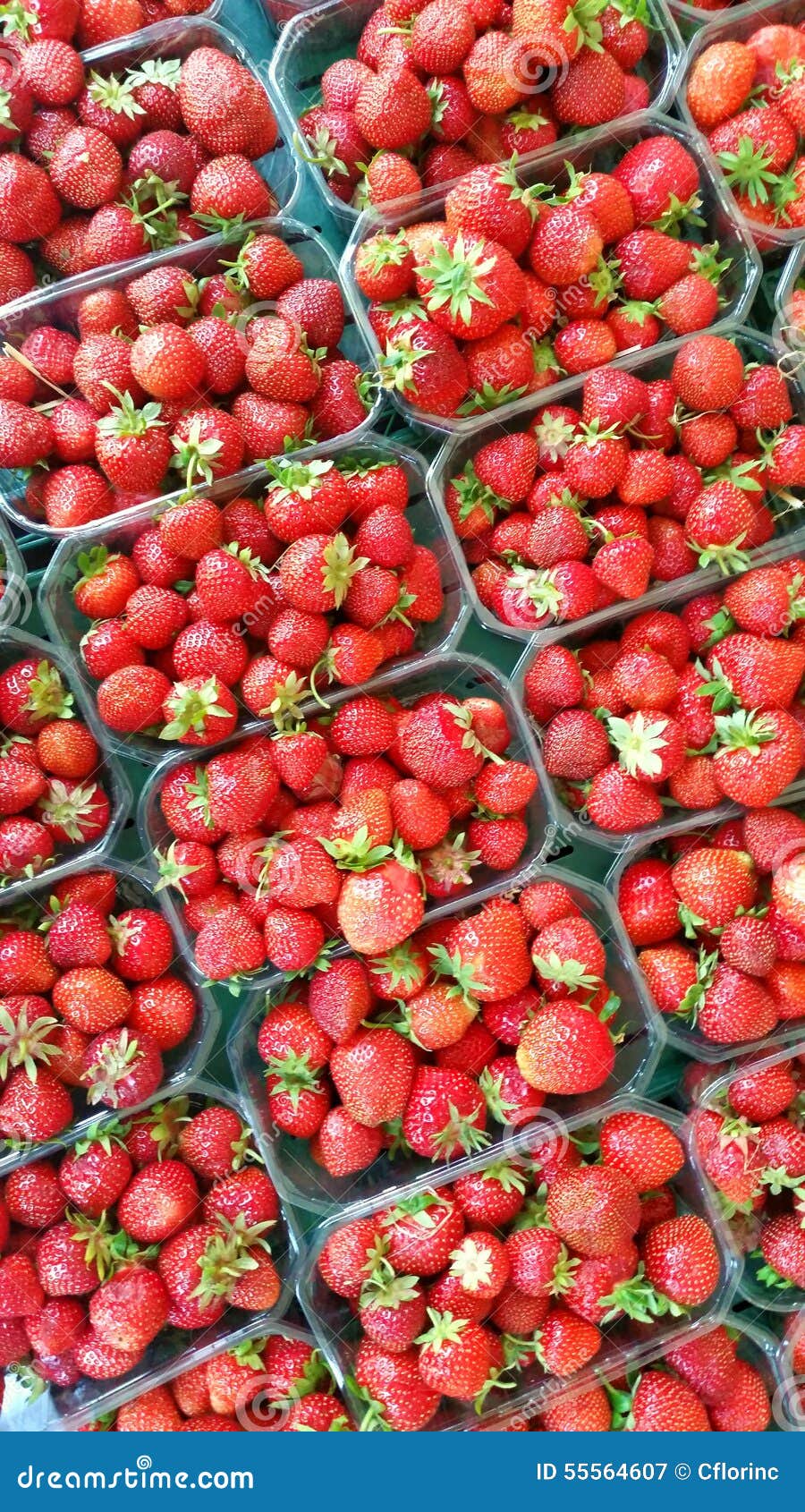 Strawberries in boxes stock image. Image of healthy, freshness - 55564607