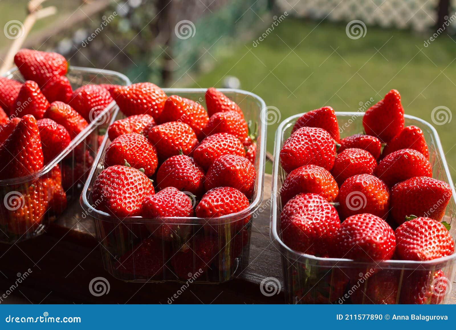 Strawberries are Bright, Fresh, Aromatic Stock Photo - Image of dessert ...