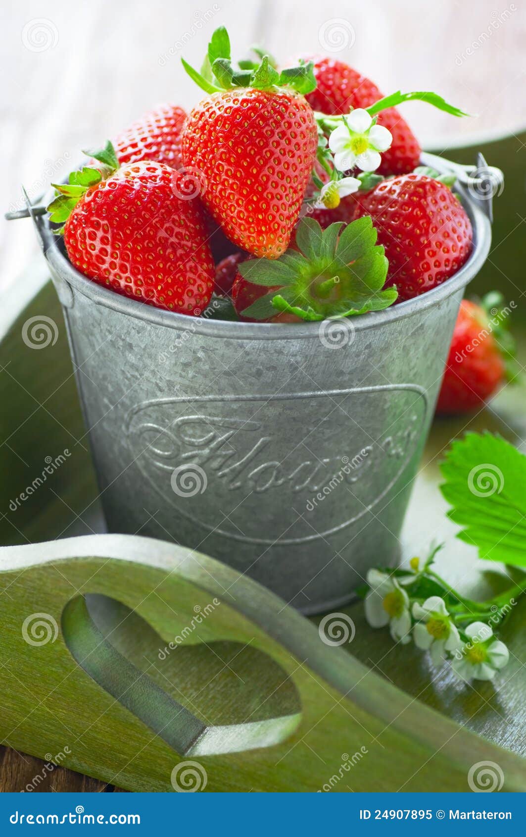 Strawberries in a bucket stock image. Image of tray, bucket - 24907895