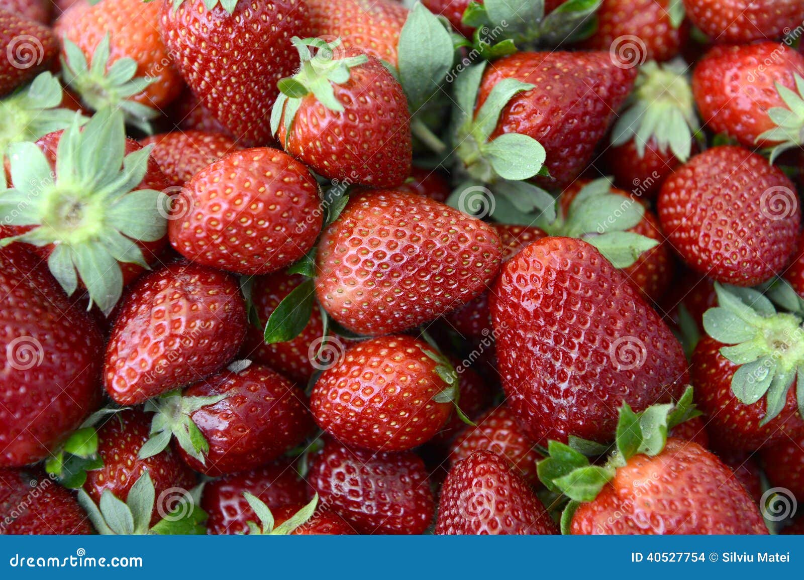 Strawberries close up stock photo. Image of fresh, summer - 40527754