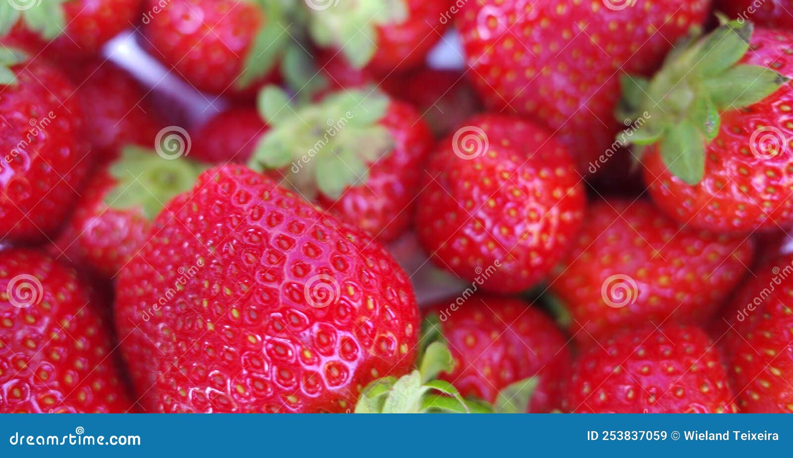 Strawberries in Different Sizes Stock Image - Image of nature, summer ...