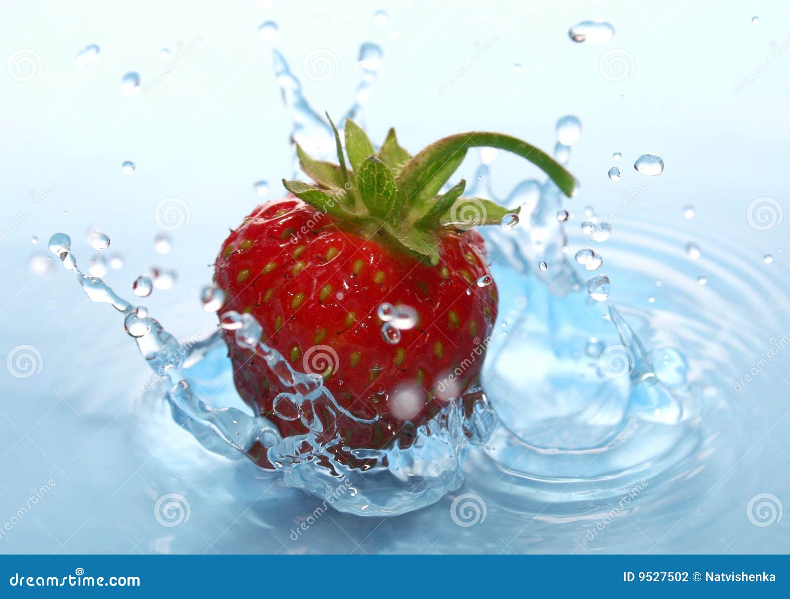 The Strawberries in drop. stock photo. Image of drink - 9527502