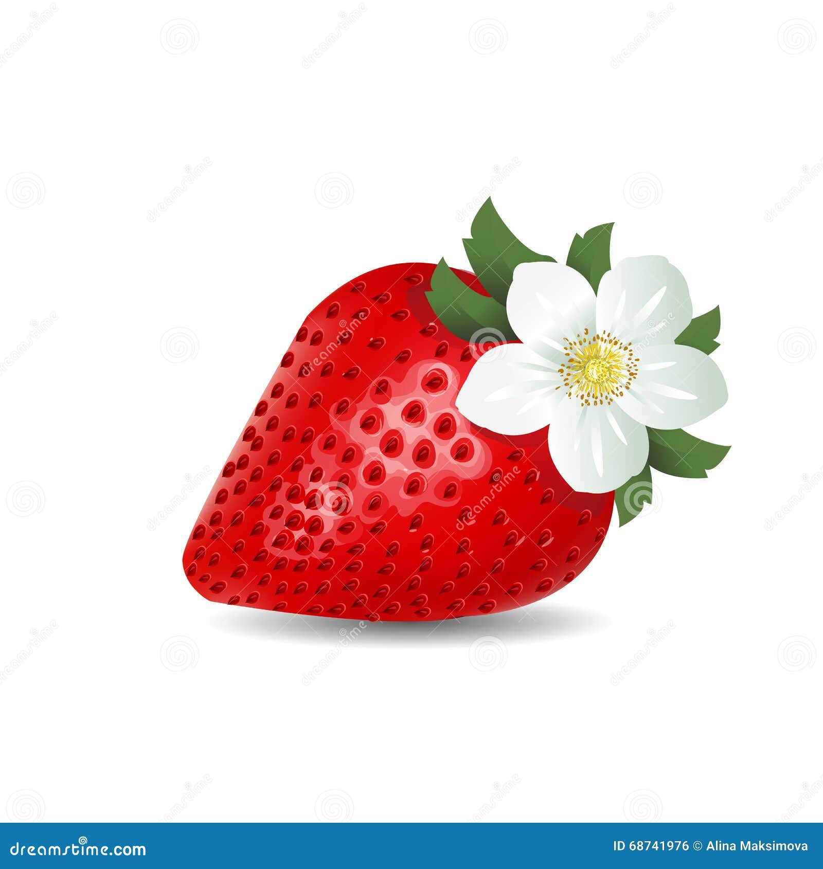 Strawberries with Flower. Blooming Strawberries Stock Vector ...