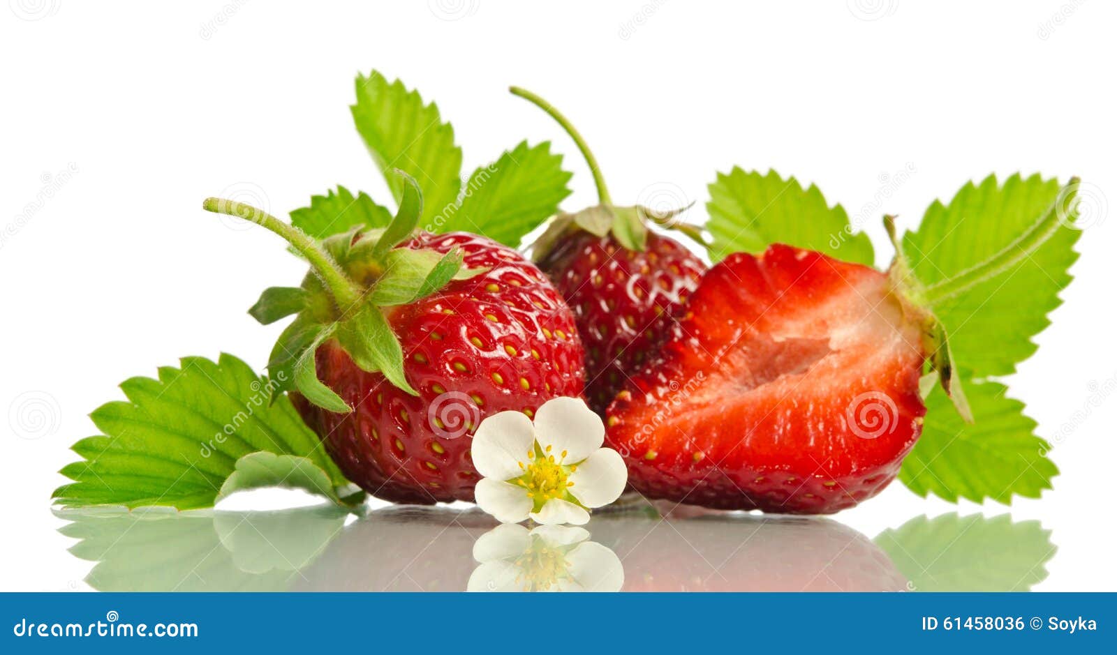 Strawberries with a Flower and Leaves Stock Photo - Image of fruit ...