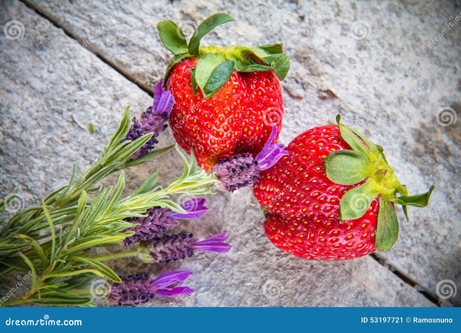 Strawberries with flowers stock image. Image of healthy - 53197721