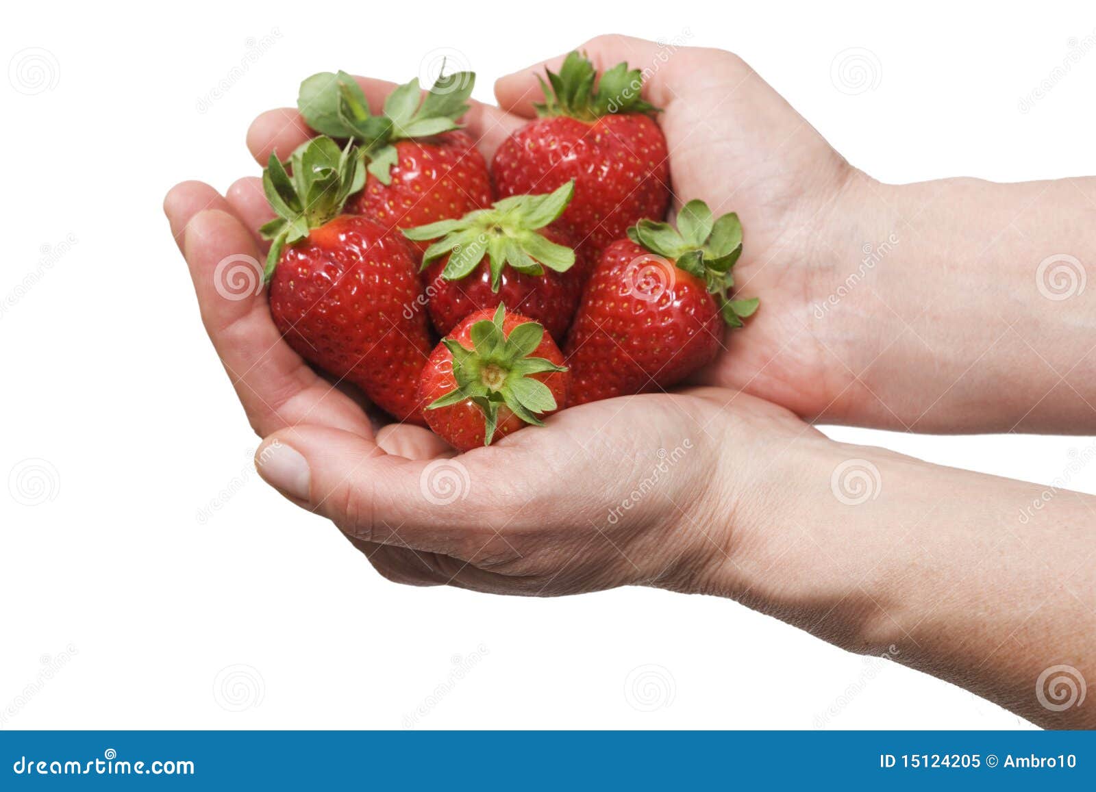 Strawberries in the hand stock image. Image of strawberry - 15124205