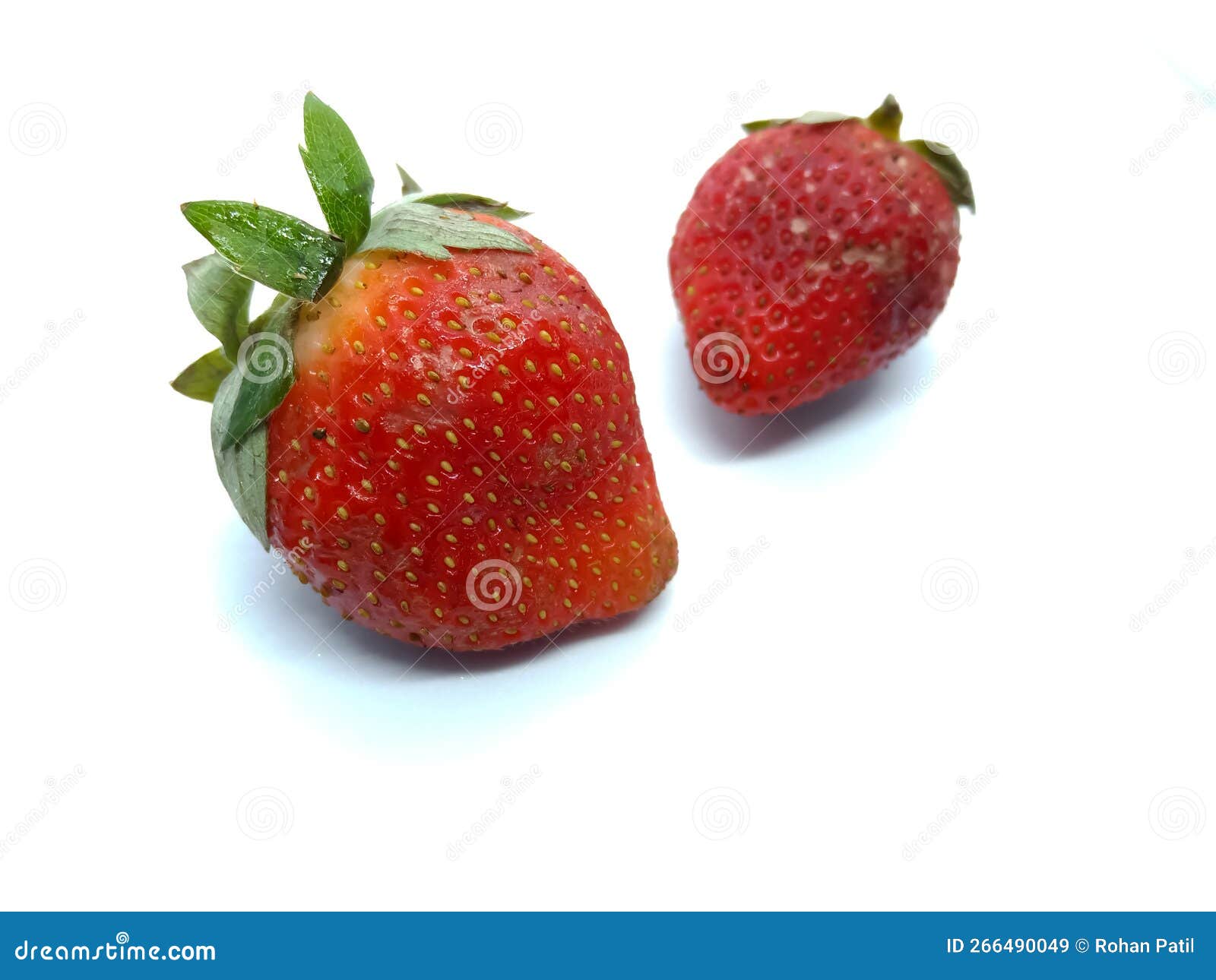 Strawberries Isolated on White Background Stock Image - Image of ripe ...