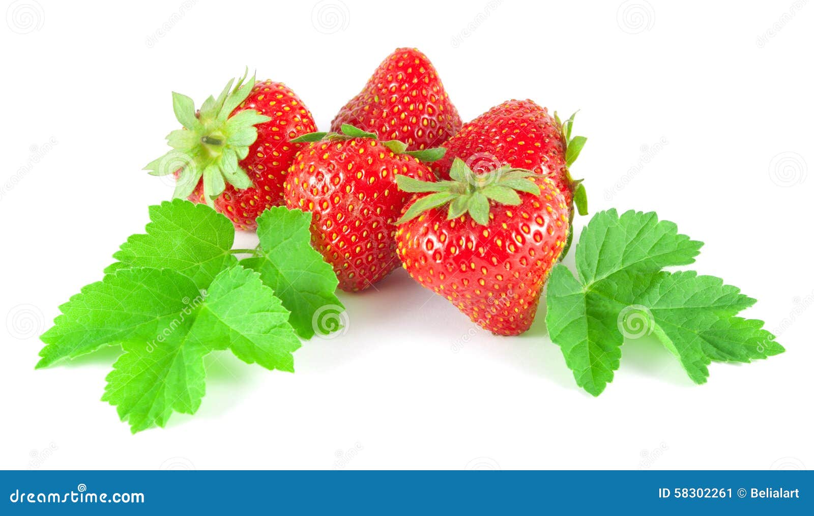 Strawberries with leaves stock image. Image of fresh - 58302261