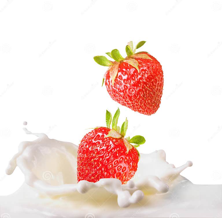 Strawberries & milk stock photo. Image of drop, cream - 5064116