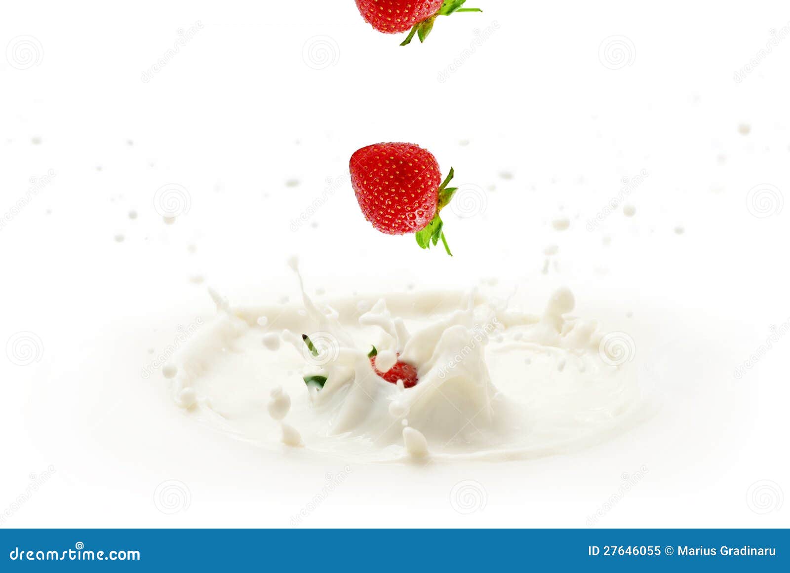 Strawberries milk splash stock image. Image of berry - 27646055