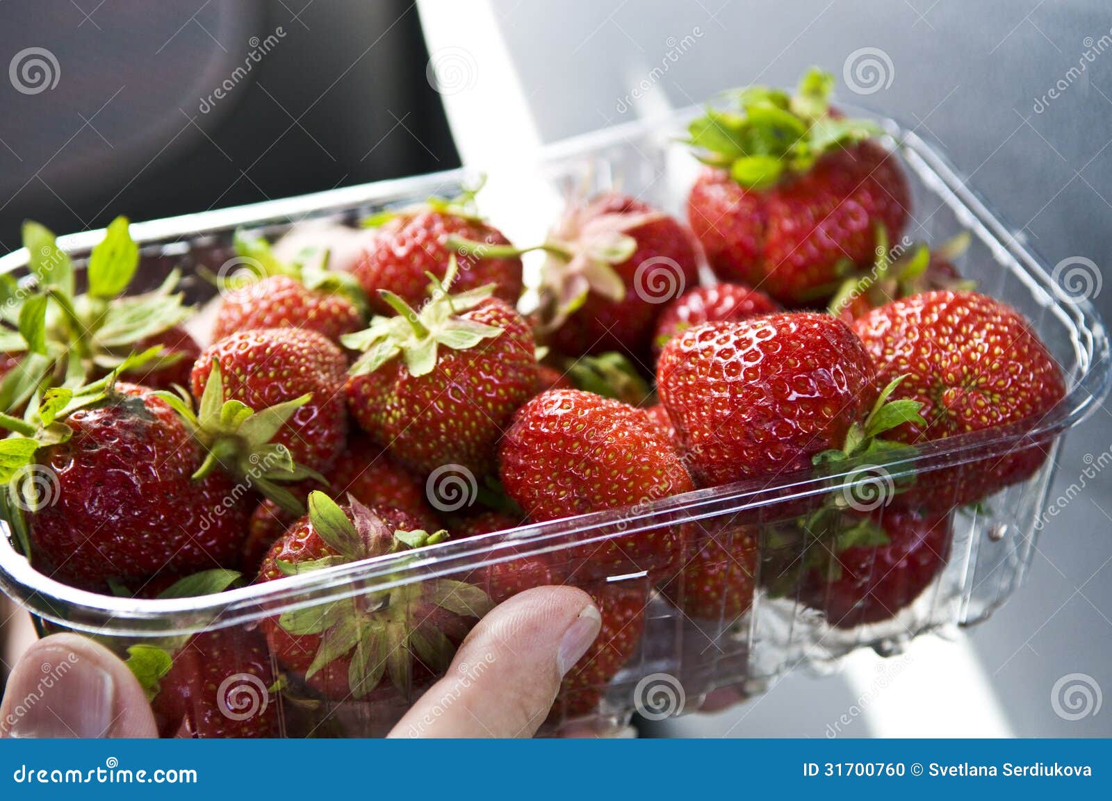 Strawberries in Plastic Container Stock Photo - Image of fingers ...