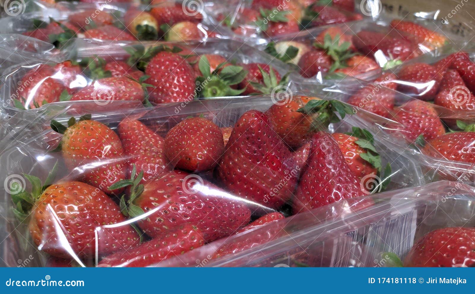 Strawberries in Plastic Trays Stock Photo - Image of food, fruits ...