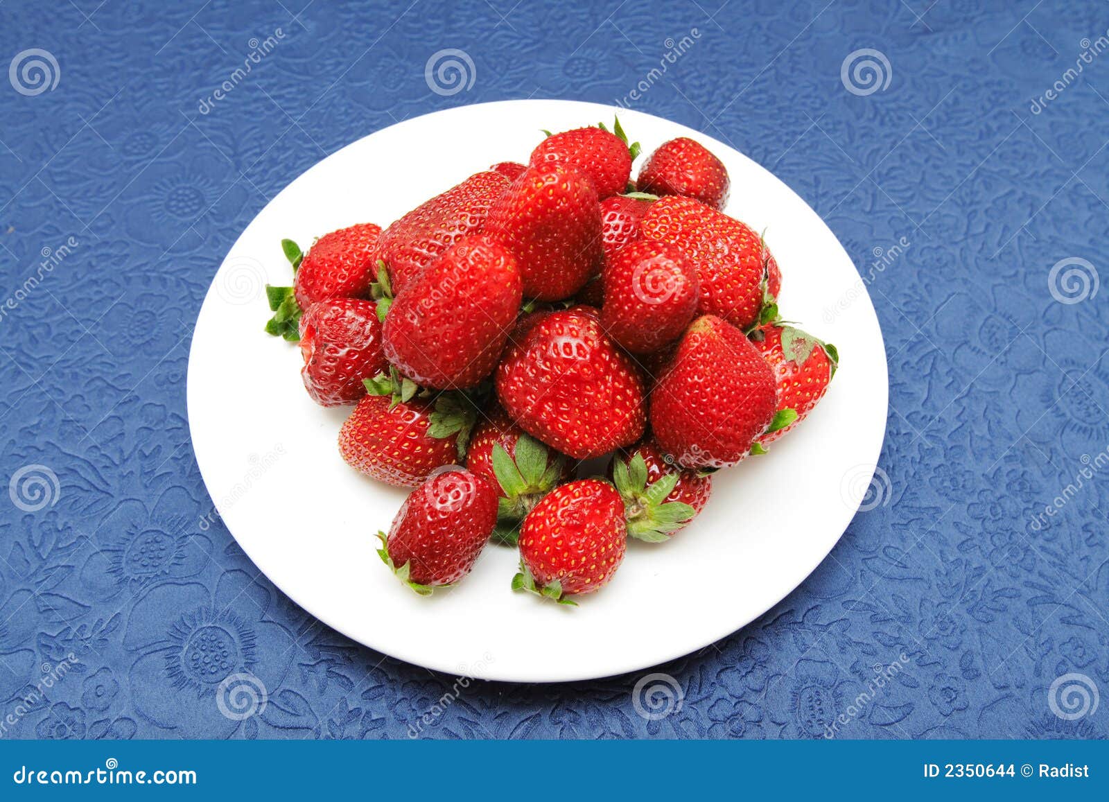 Strawberries in plate stock photo. Image of green, morning - 2350644