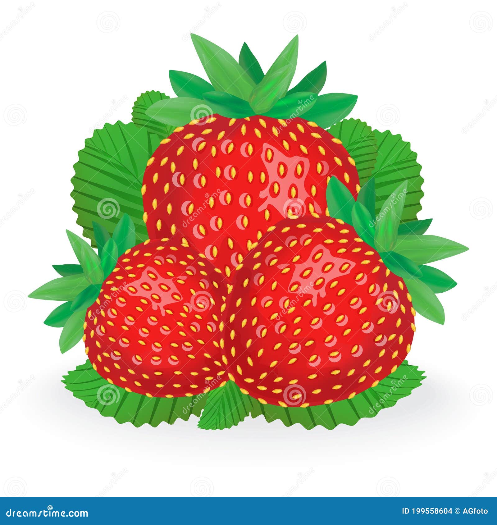 Strawberries Realistic Vector Stock Illustration - Illustration of ...