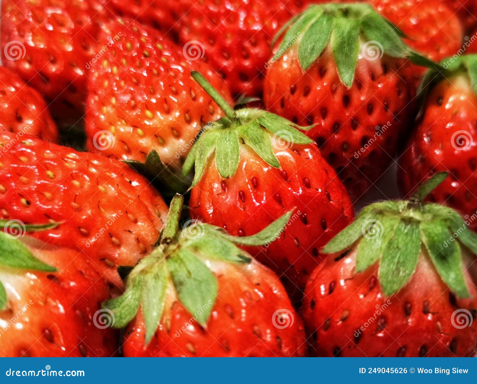 Strawberries in red color stock photo. Image of vegetable - 249045626