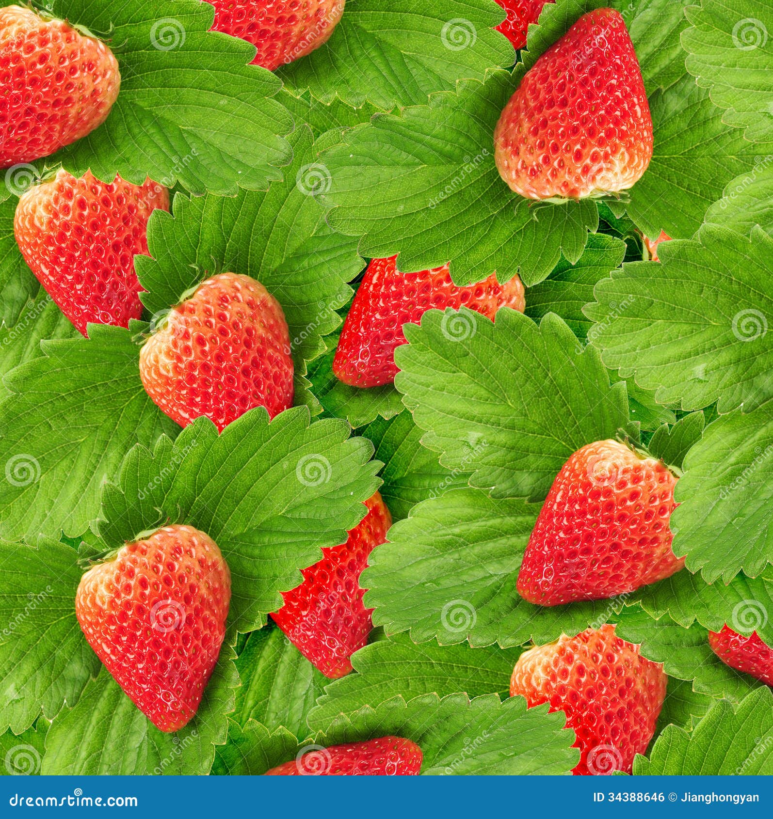 Strawberries stock photo. Image of pattern, natural, ornament - 34388646