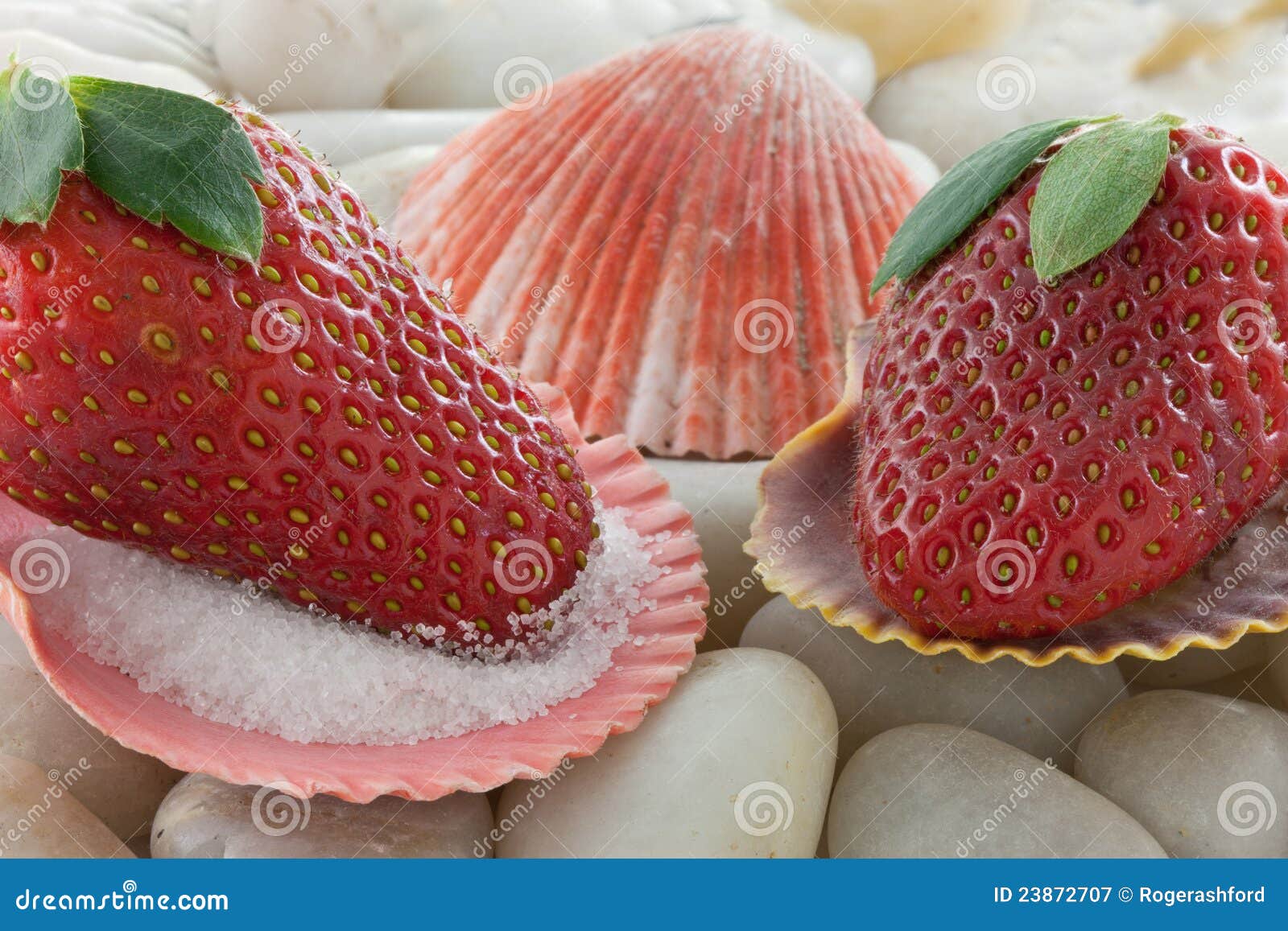 Strawberries in Seashells stock image. Image of marine - 23872707