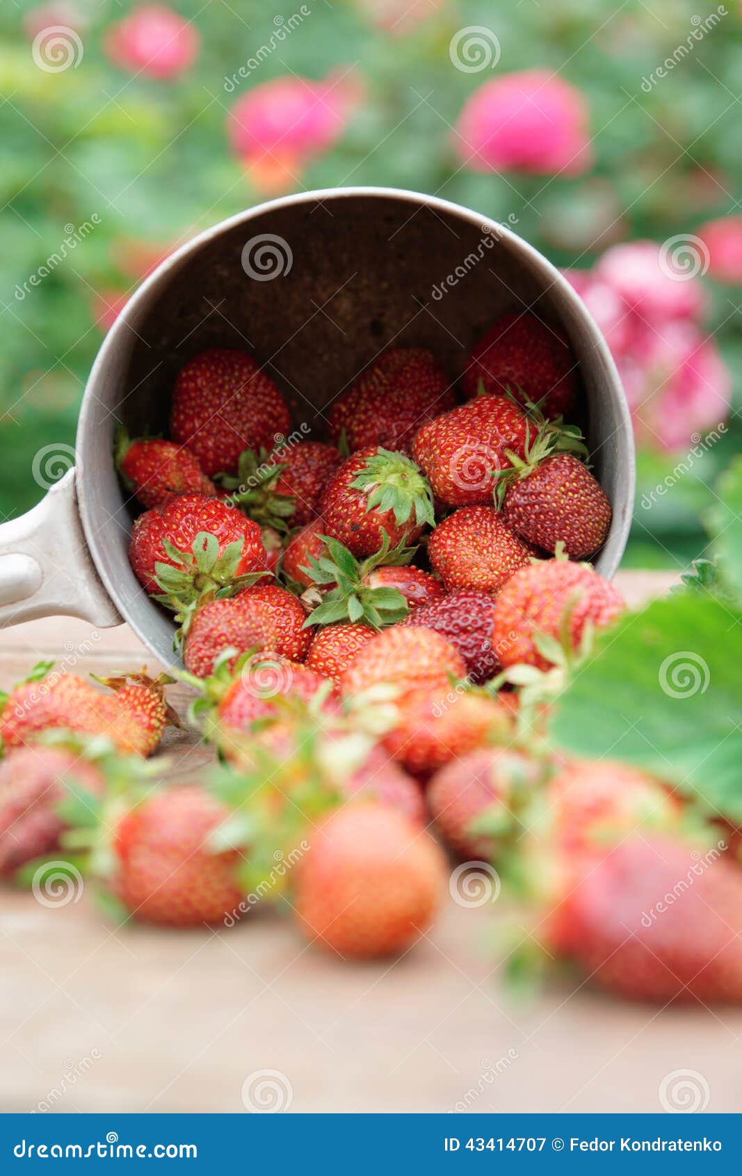 Strawberries Spilled from a Pot Stock Image - Image of diet, saturated ...